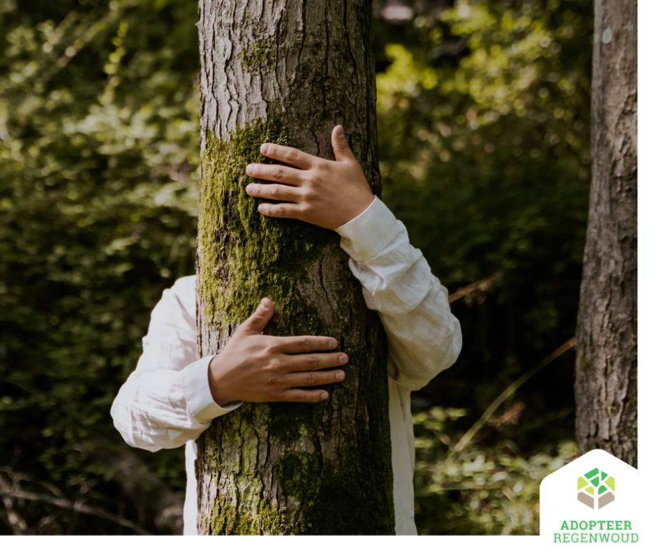 Ontbossing - Adopteer Regenwoud